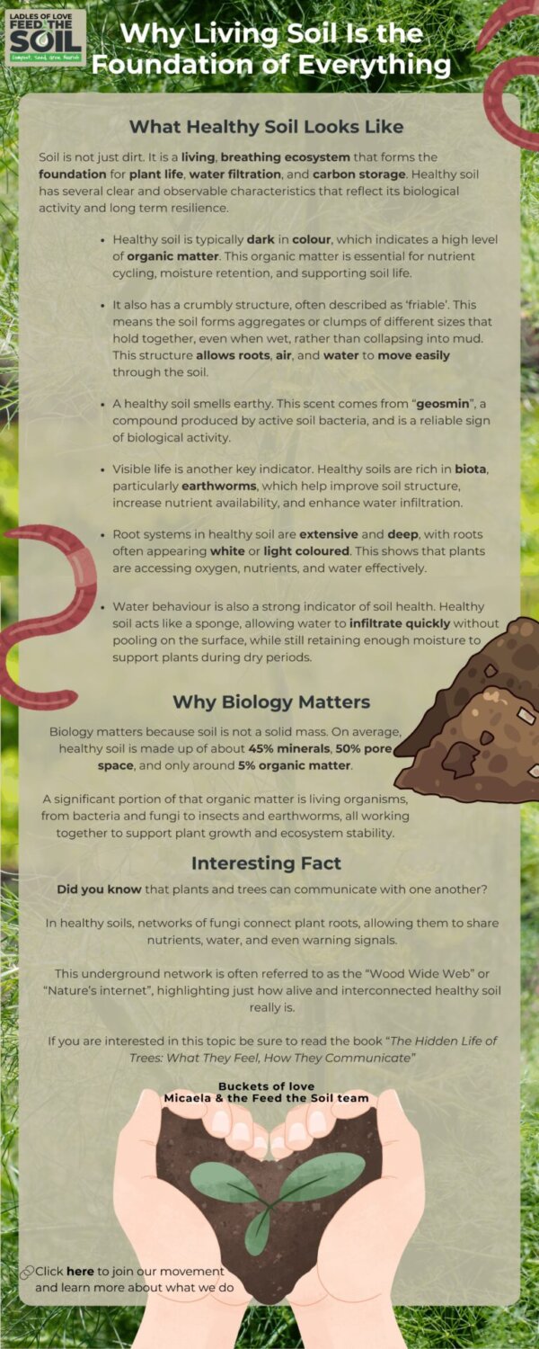 "Why Living Soil is the Foundation of Everything"